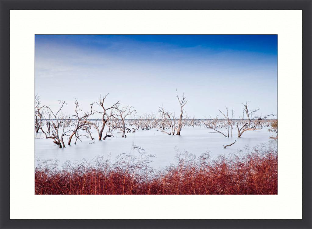 Wall Art Australia | That Wall Art Shop | Menindee Lakes